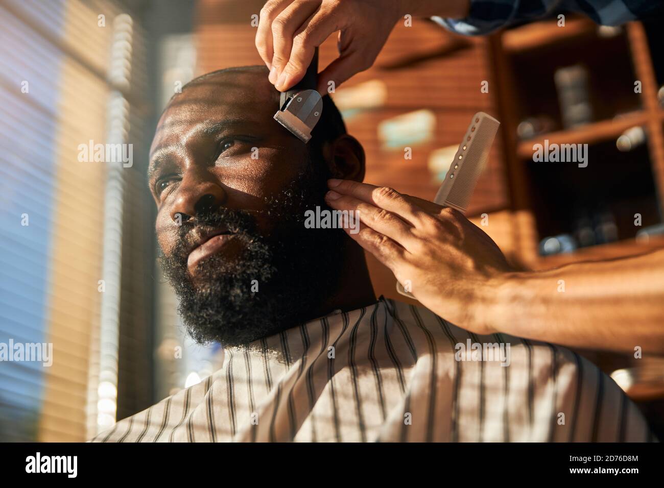 Male barber trimming client beard in barbershop Stock Photo - Alamy