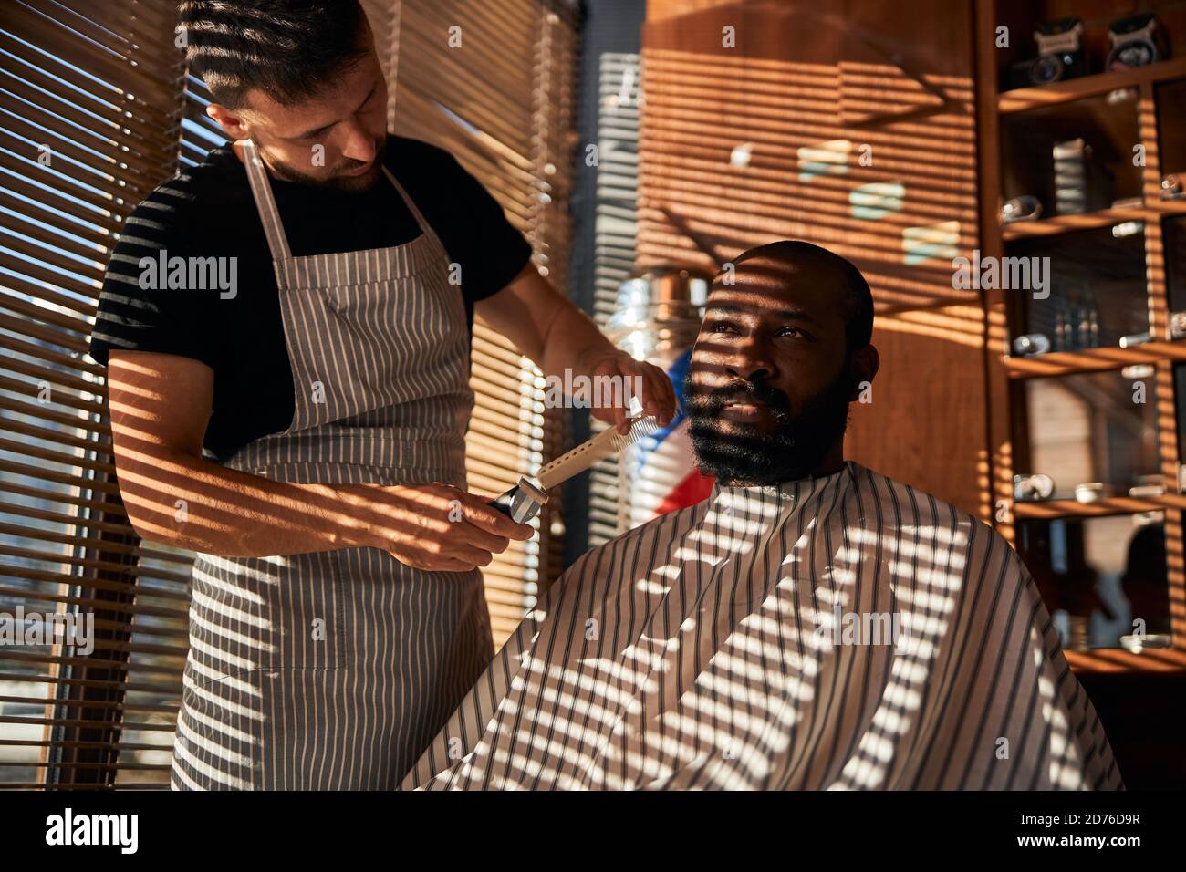 Male barber in apron trimming client beard in barbershop Stock Photo ...
