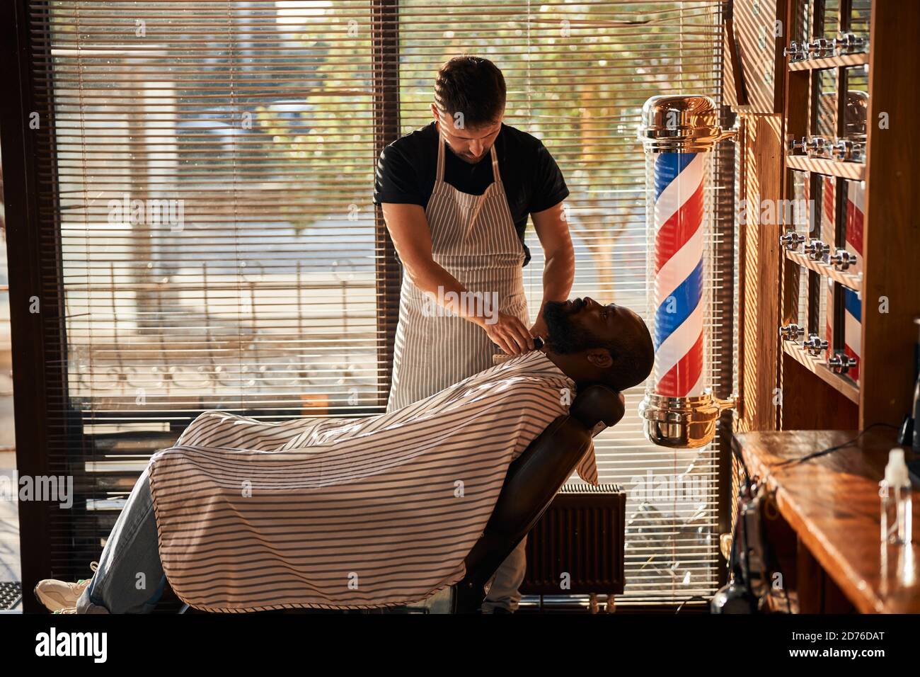 Barber in apron trimming client beard in barbershop Stock Photo - Alamy