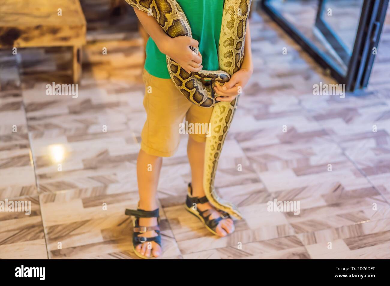 Boy holding pet snake hi-res stock photography and images - Alamy
