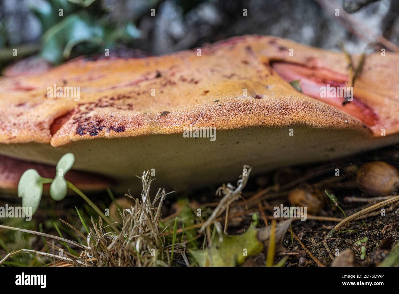 Ground level view rural hi-res stock photography and images - Alamy