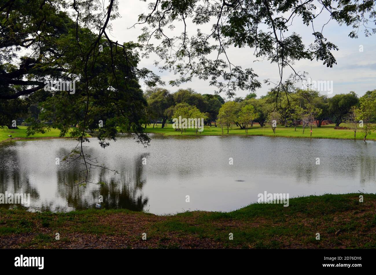Ayutthaya, Thailand - Thanon Si Sanphet Lake Stock Photo - Alamy