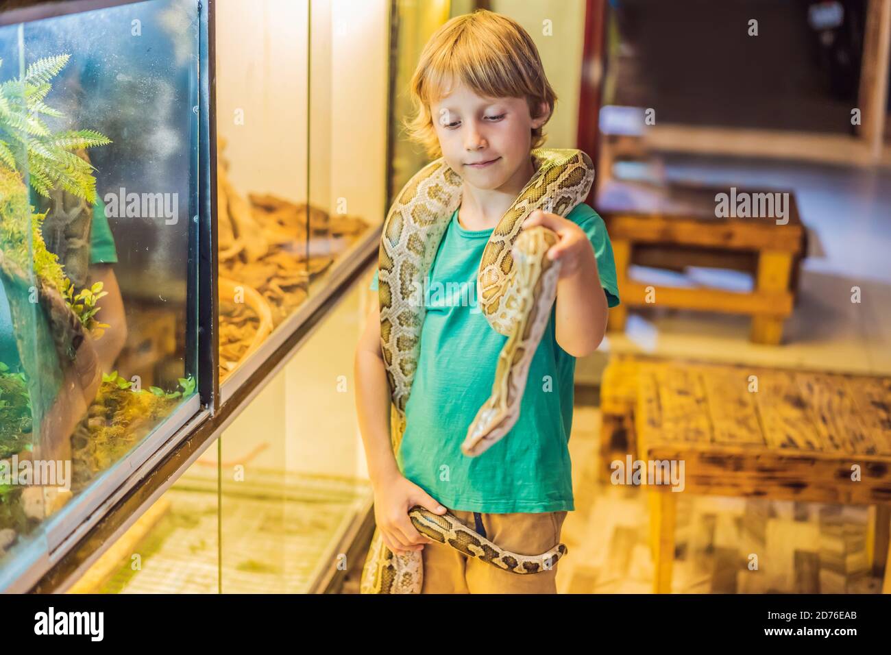 Smiling boy holding python in his hands Stock Photo - Alamy