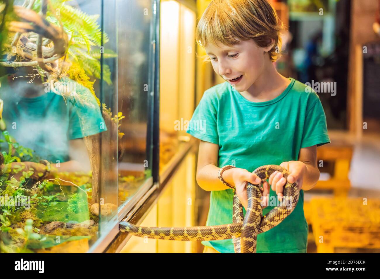 Smiling boy holding python in his hands Stock Photo - Alamy