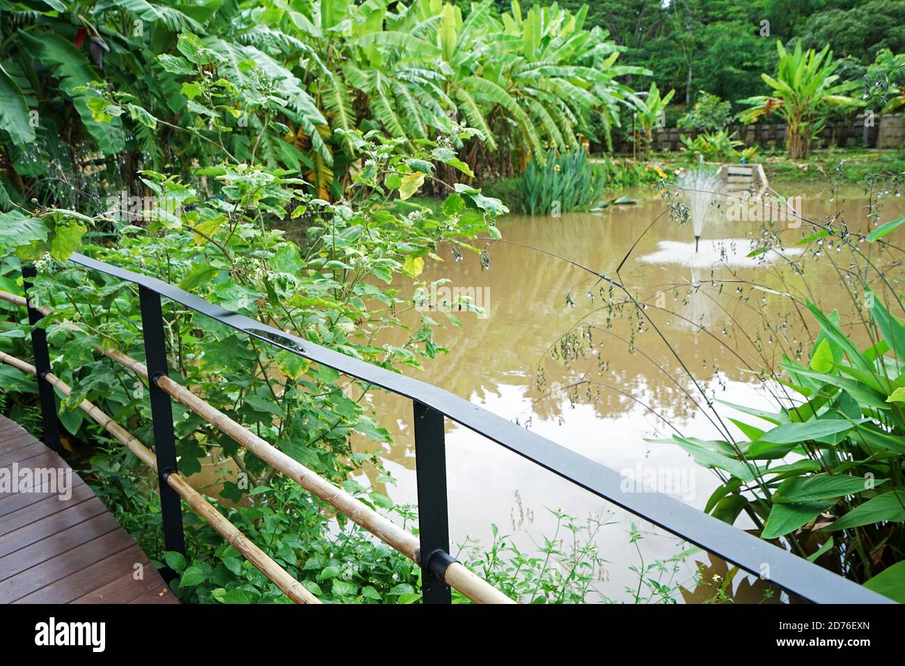 A wooden balcony terrace with metal handrail facing green natural pond ...