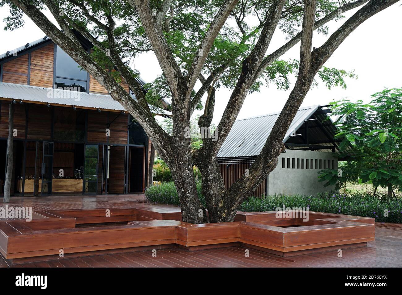 Wooden building among green nature and big tree Stock Photo - Alamy