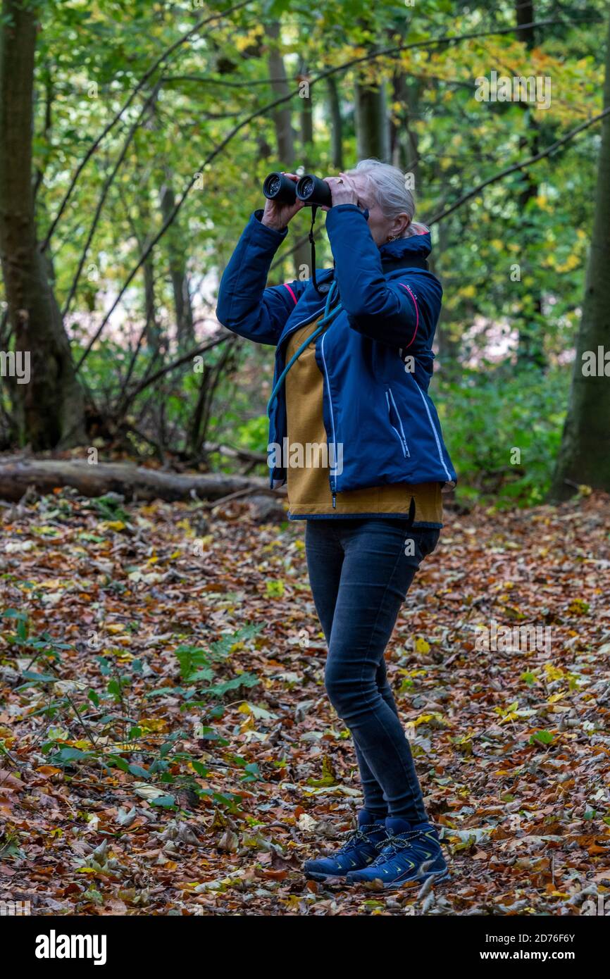 lady birdwatching, female twitcher, female birdwatching, female using ...