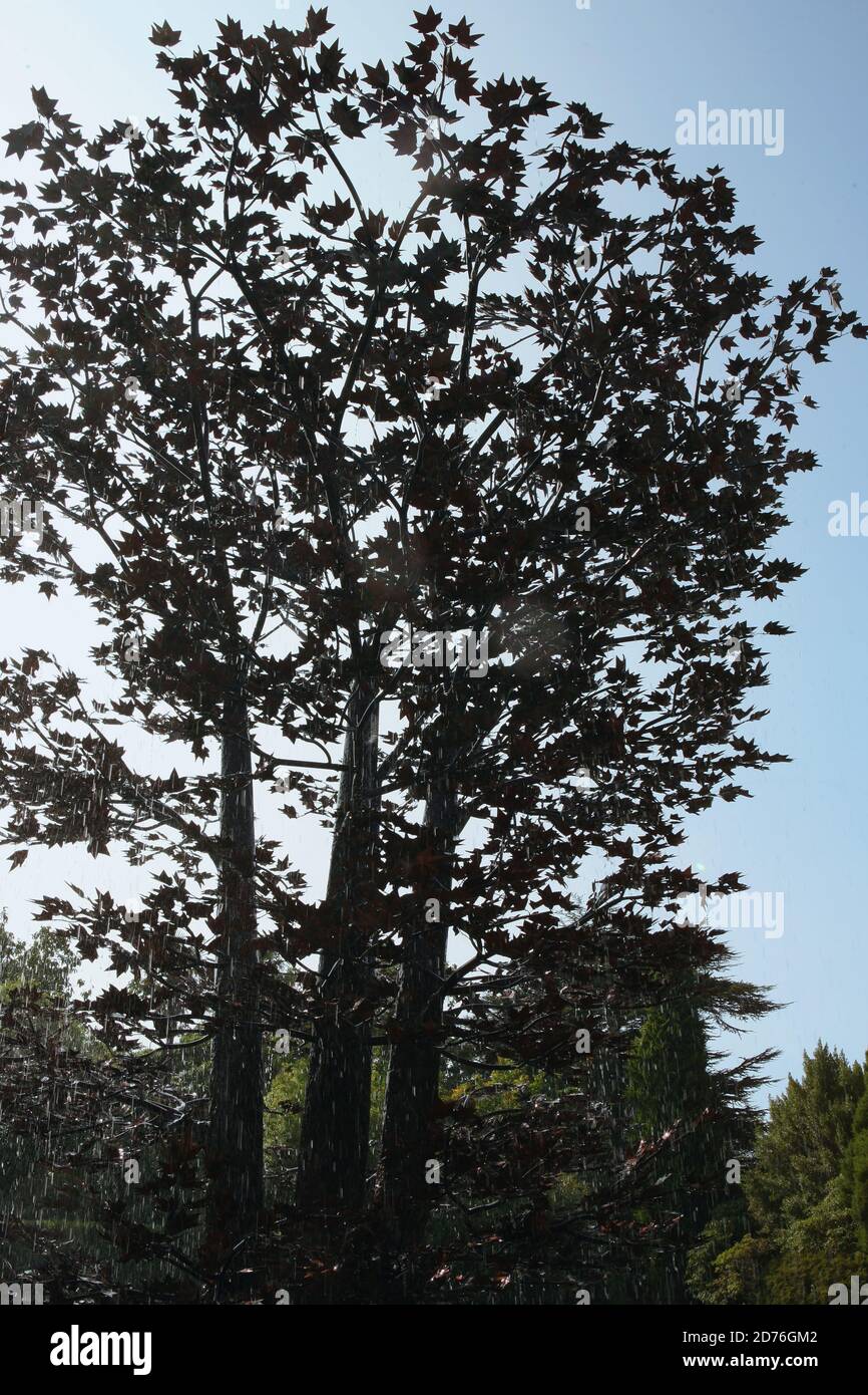 Copper tree fountain hi-res stock photography and images - Alamy