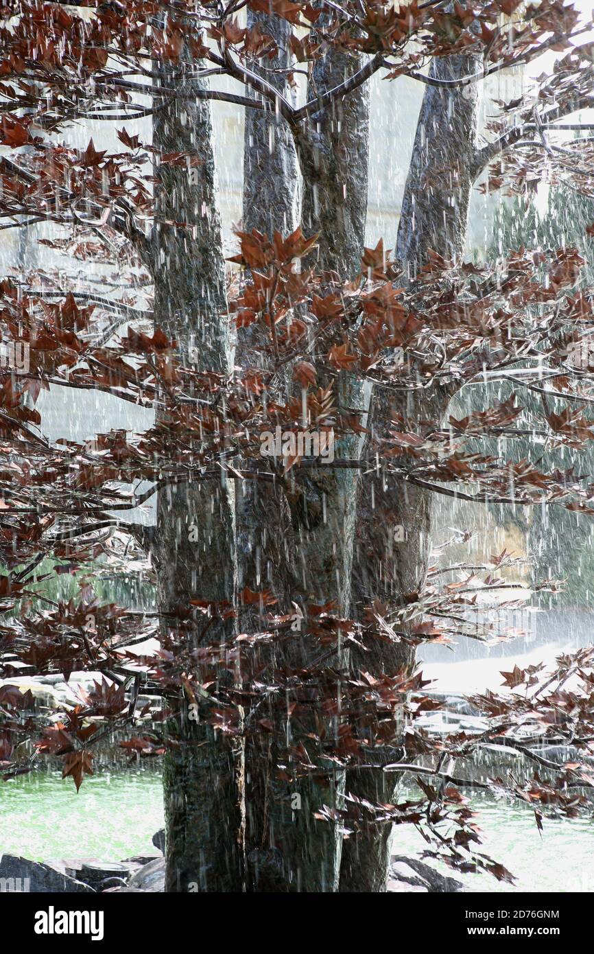 Giant copper tree sculpture and fountain, Leonardslee Gardens, West ...