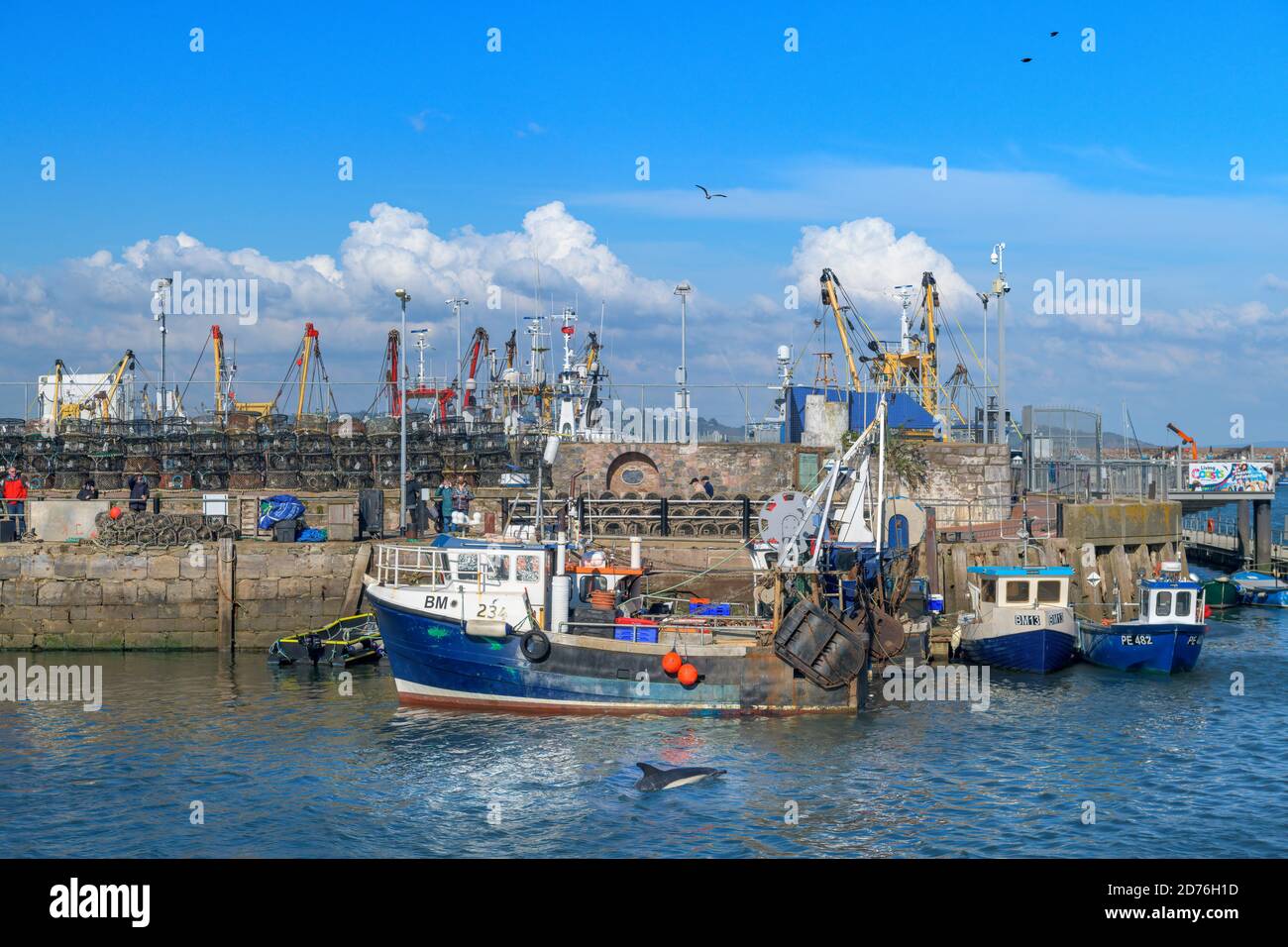 Brixham Trawler Fleet High Resolution Stock Photography and Images - Alamy
