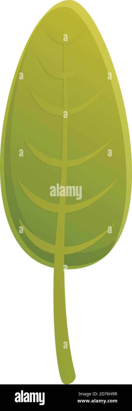 Elm green leaf icon. Cartoon of elm green leaf vector icon for web ...