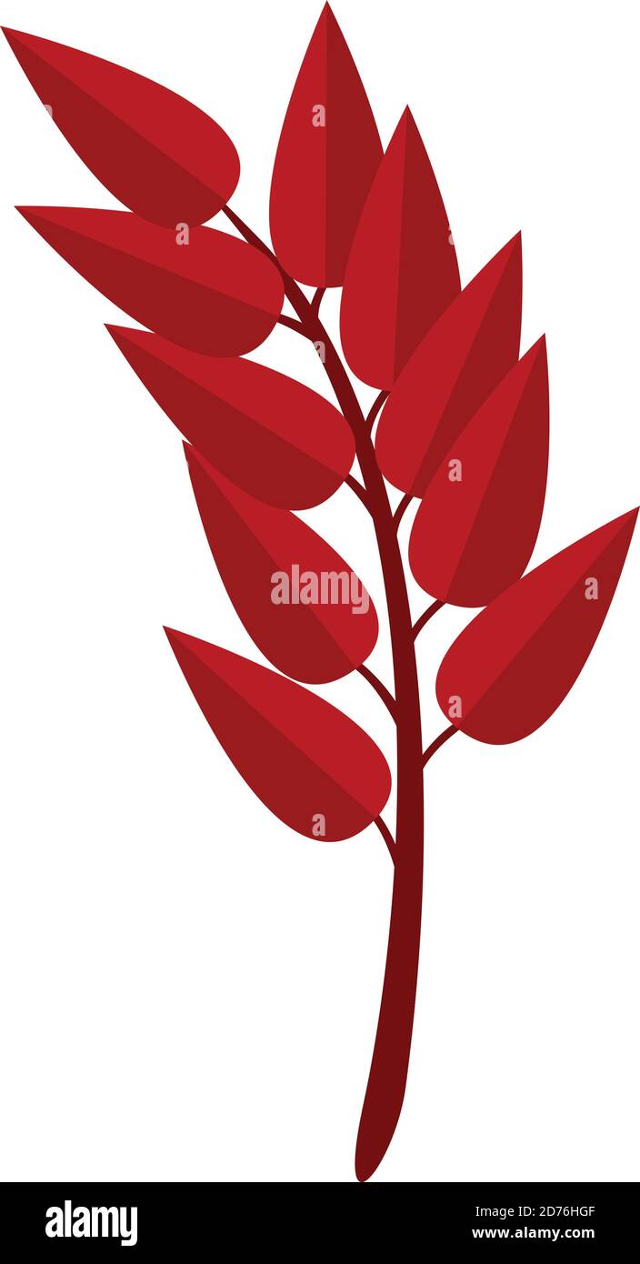 White ash autumn leaf icon. Cartoon of white ash autumn leaf vector ...