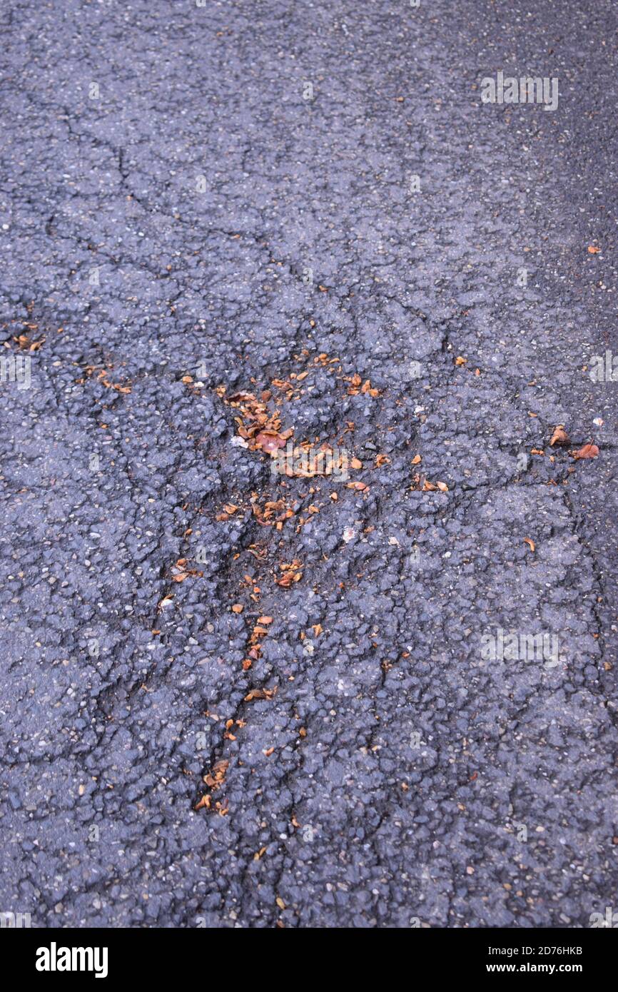 Indian seeds falling hi-res stock photography and images - Alamy