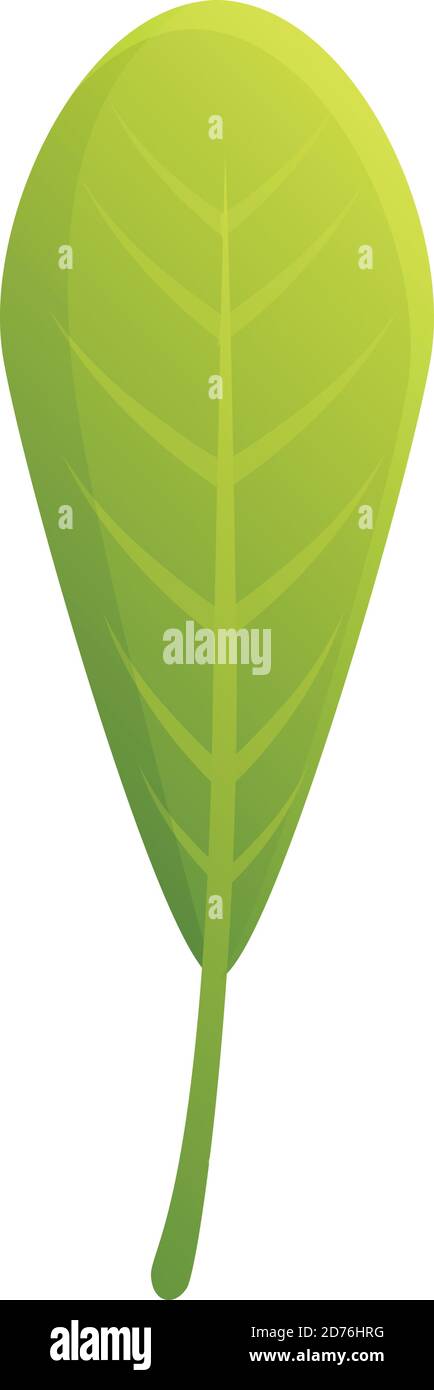 Green tree leaf icon. Cartoon of green tree leaf vector icon for web ...