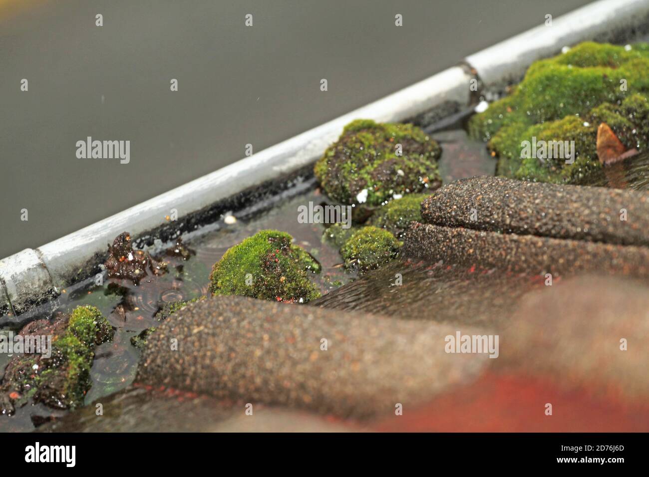 House plate tile hi-res stock photography and images - Alamy