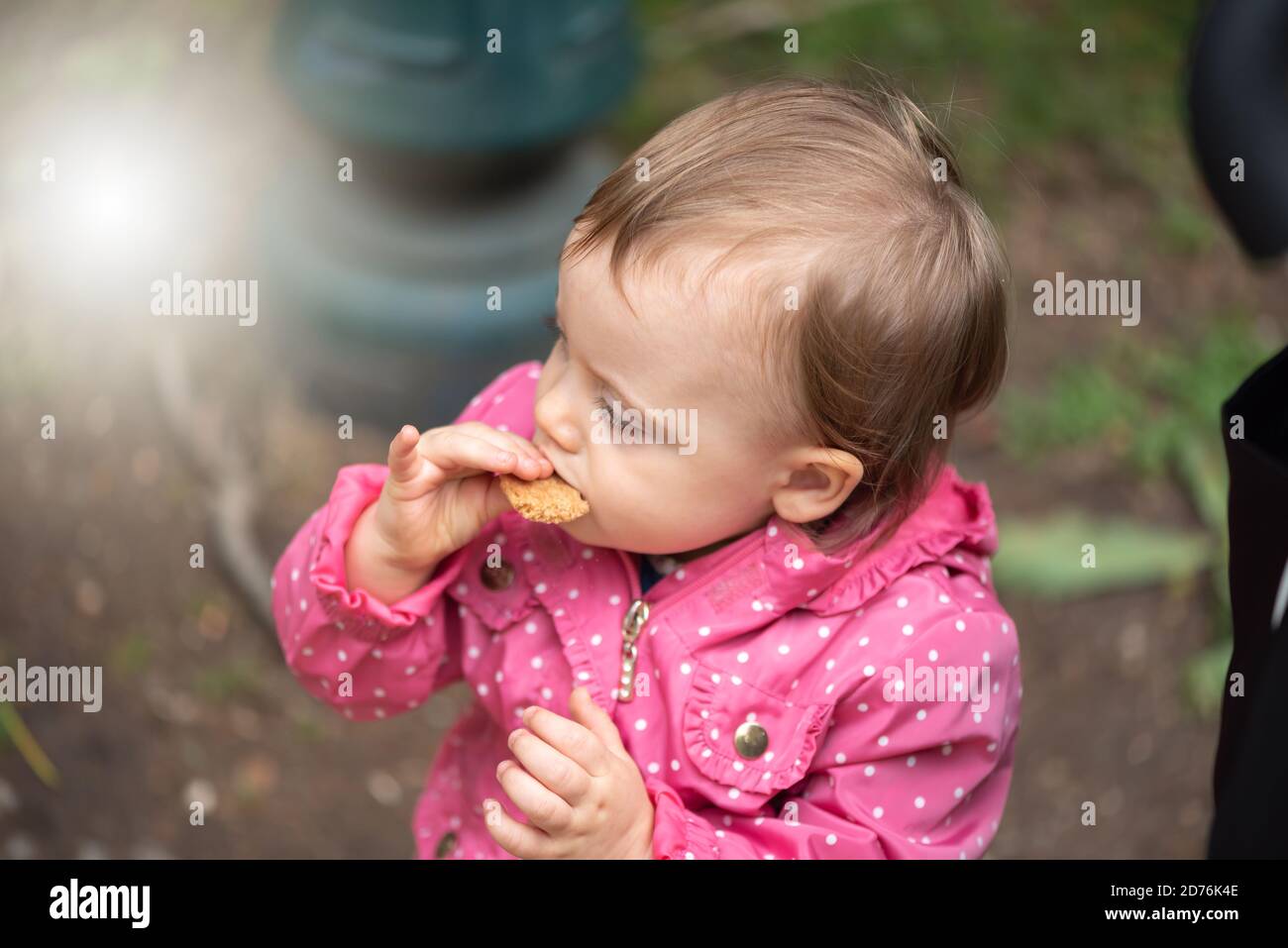 Baby girl eating a biscuit outdoors Stock Photo - Alamy