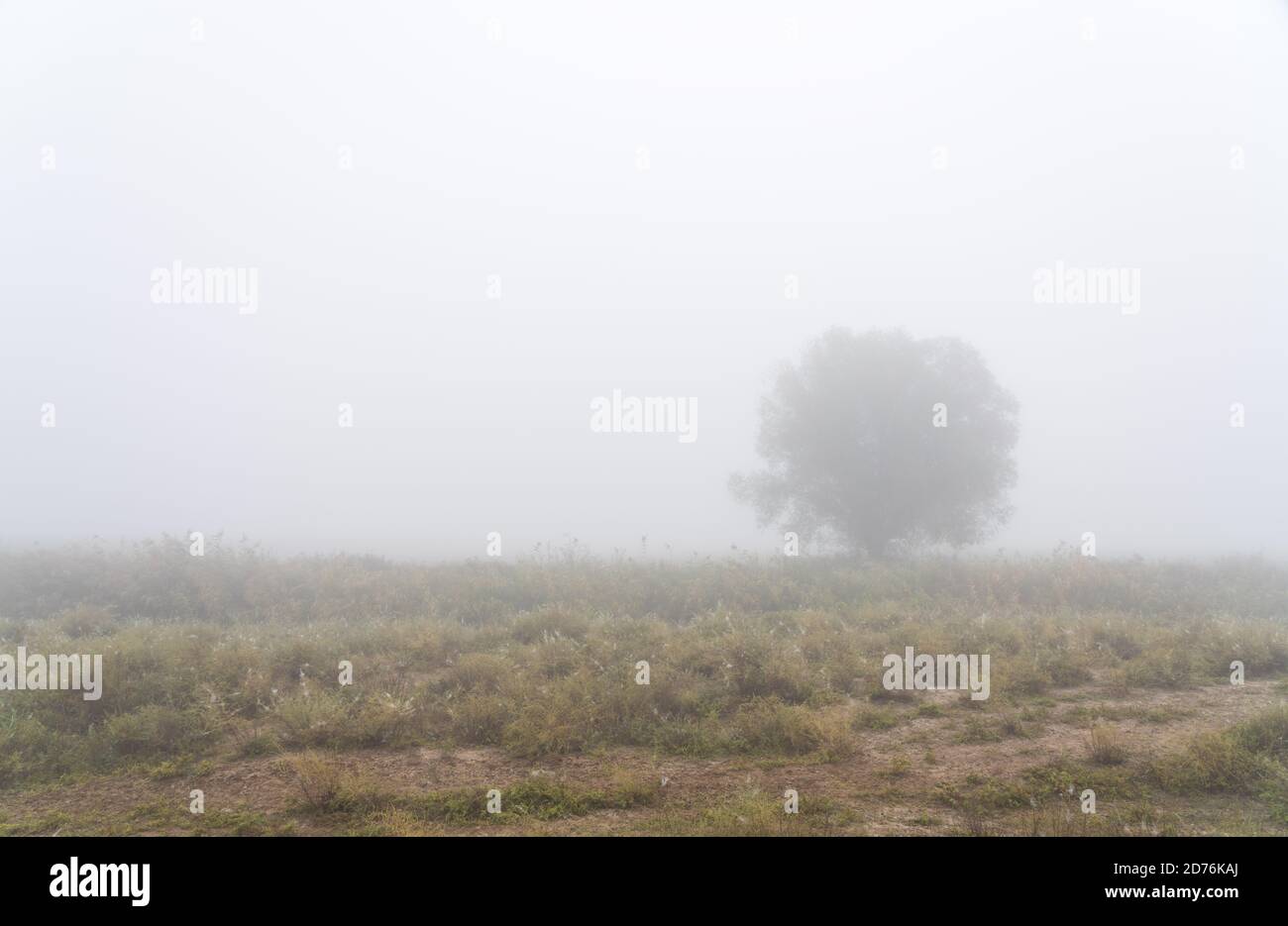 Foggy weather hi-res stock photography and images - Alamy