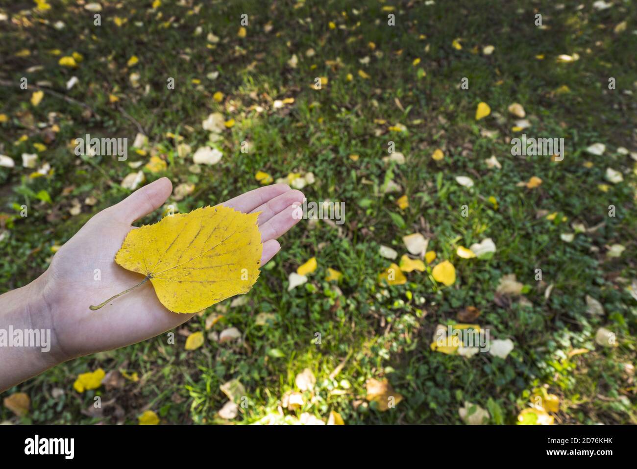 Female fall tree hi-res stock photography and images - Alamy