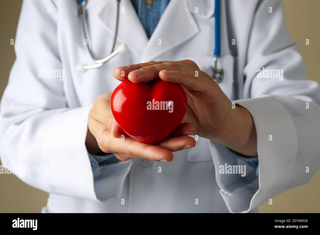Doctor hold heart, close up and front view Stock Photo - Alamy