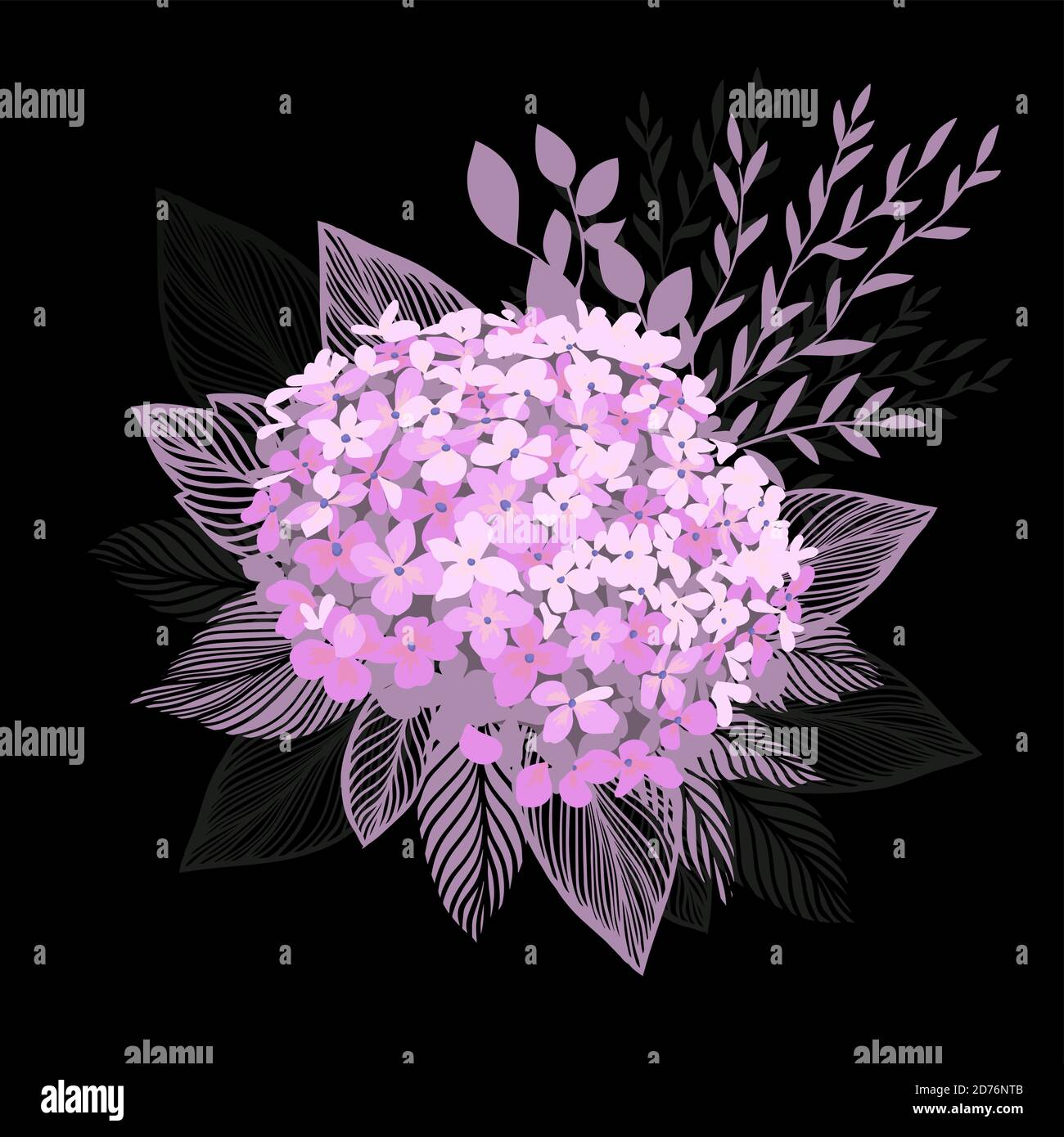 The hydrangea is pink. Vector illustration Stock Vector Image & Art - Alamy