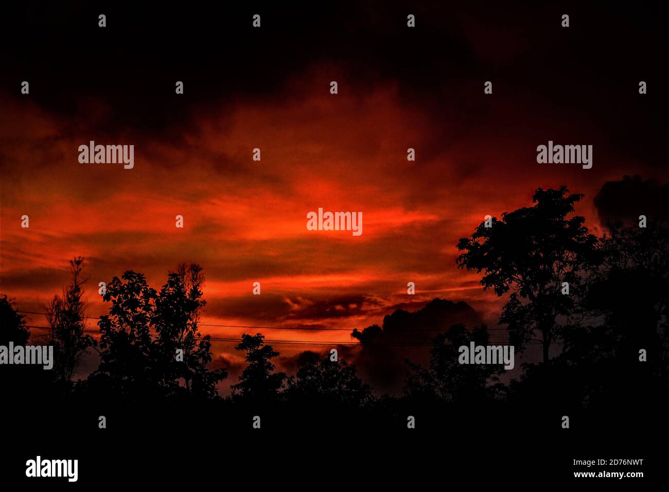 Photo of a forest with sunset background Stock Photo - Alamy