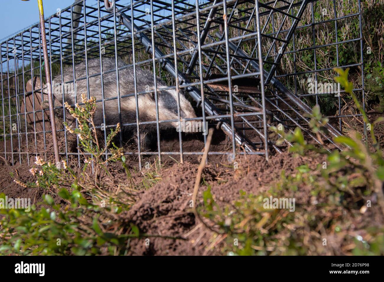 Vaccination cage hi-res stock photography and images - Alamy
