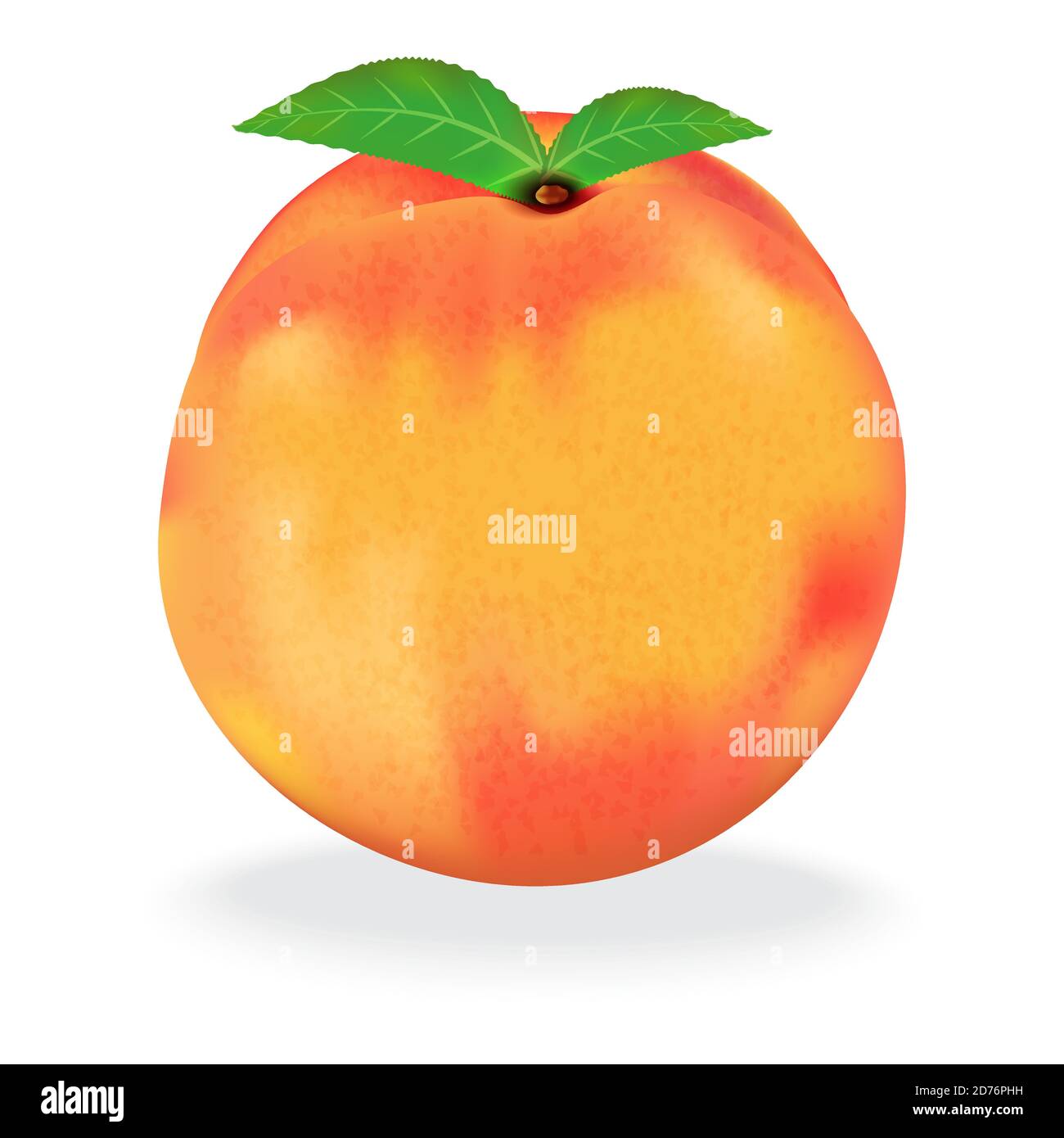 Peach with leaves isolated on white background. Realistic vector ...