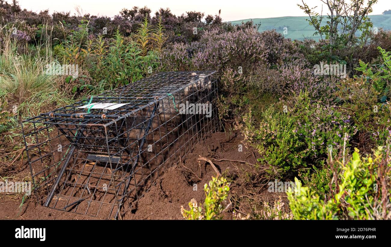 Vaccination cage hi-res stock photography and images - Alamy