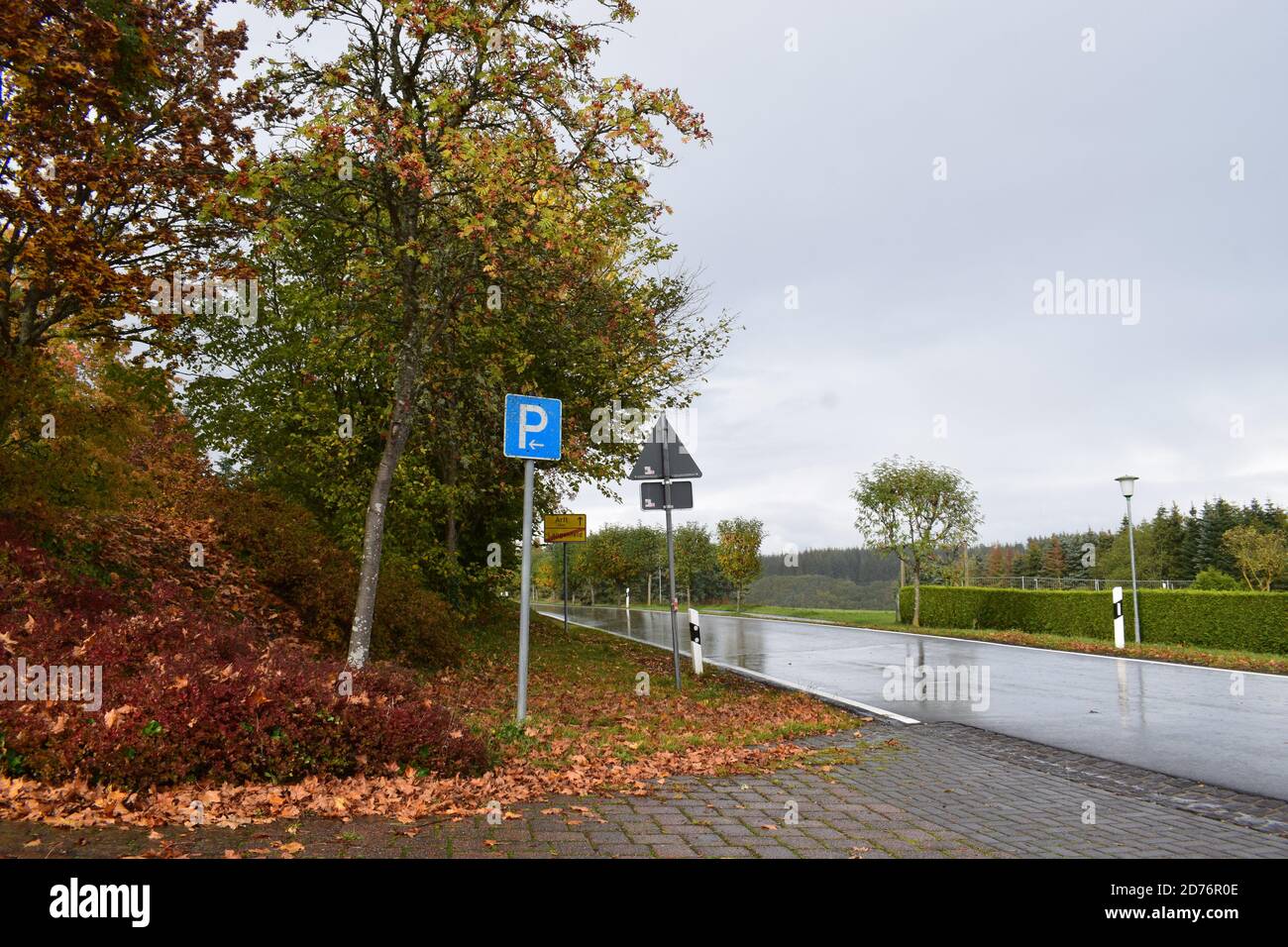 autumn avenue in Langenfeld, Eifel Stock Photo - Alamy