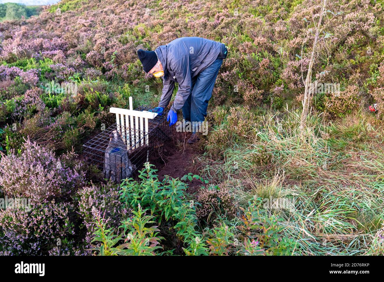 Conservation experiment hi-res stock photography and images - Alamy