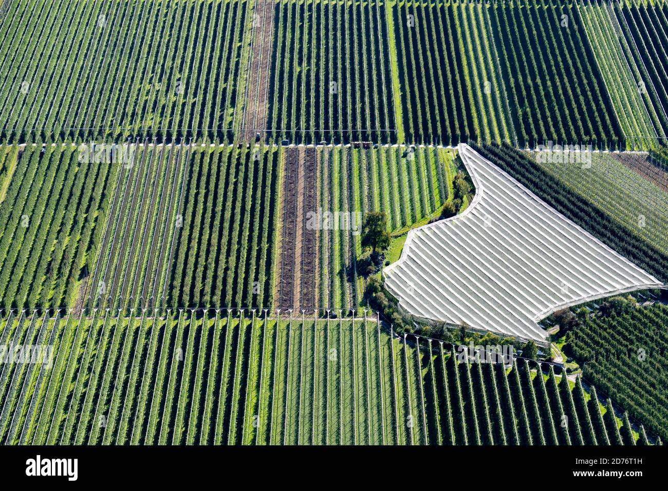 Birds eye view of agricultural fields Stock Photo - Alamy
