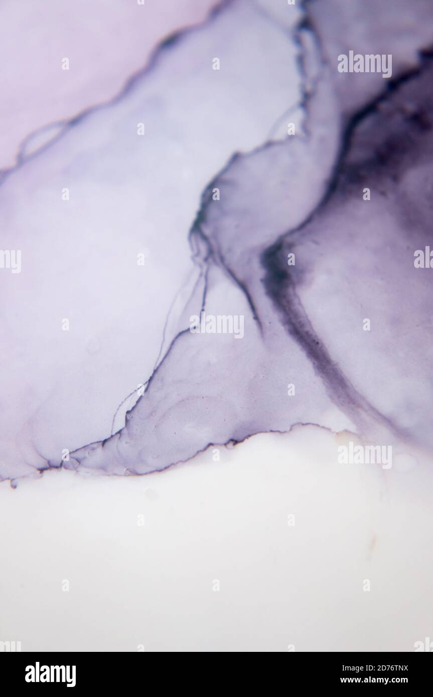 The picture is painted in alcohol ink. Creative abstract artwork made ...