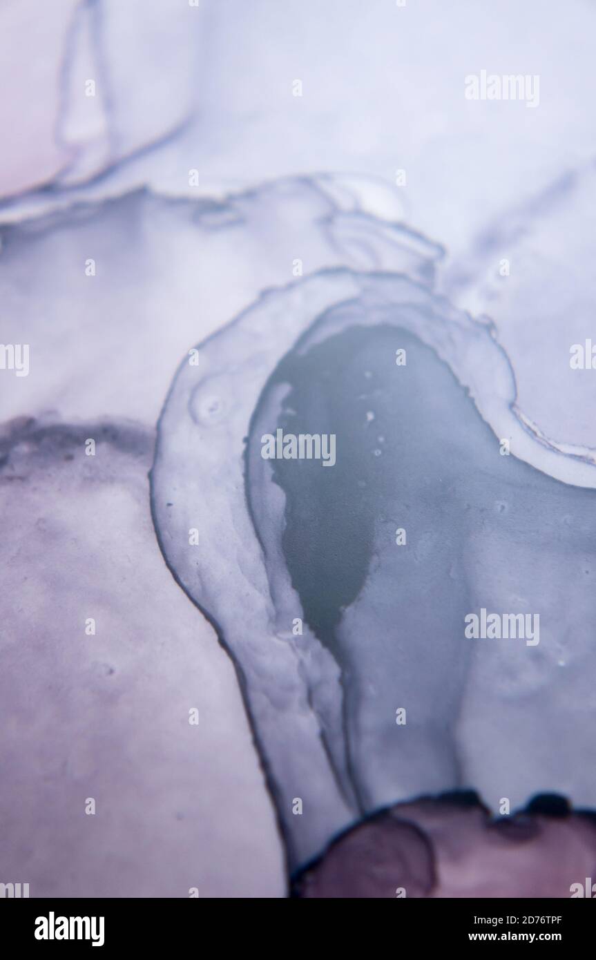 The picture is painted in alcohol ink. Creative abstract artwork made ...