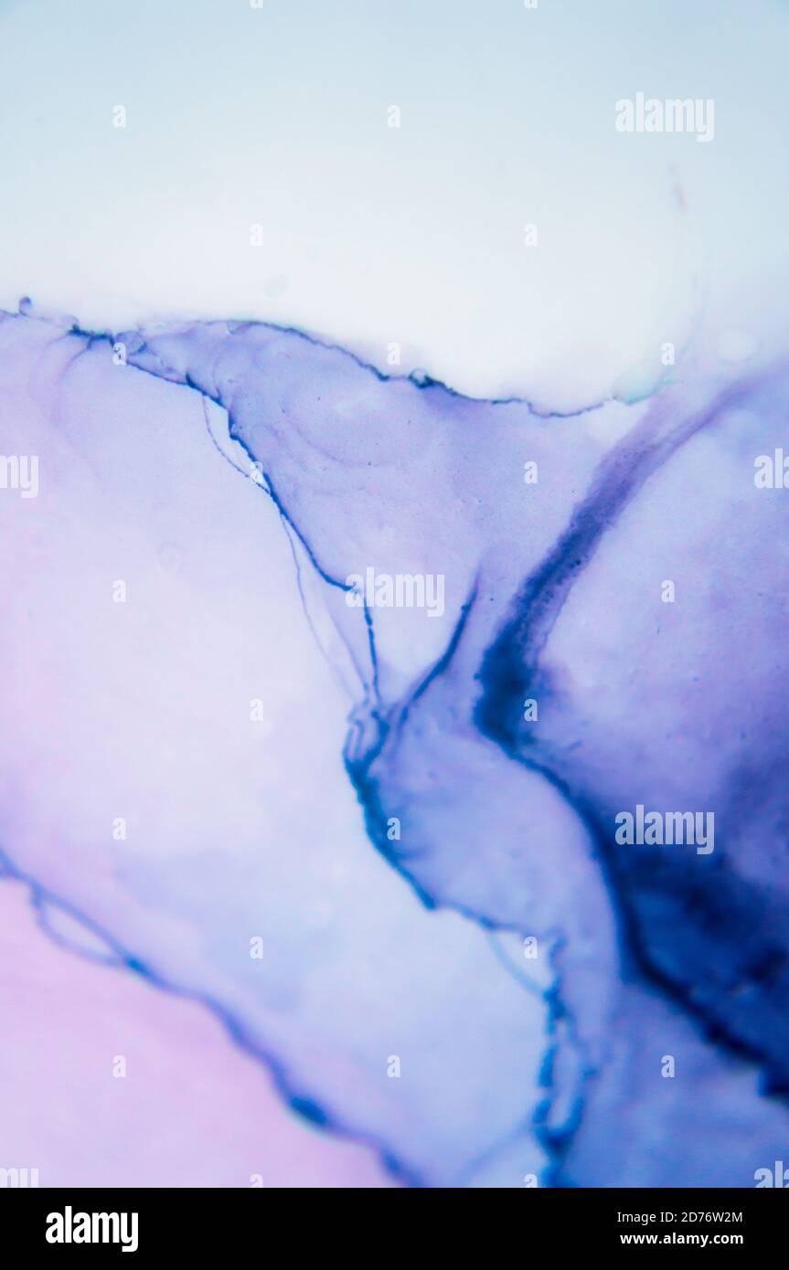 The picture is painted in alcohol ink. Creative abstract artwork made ...