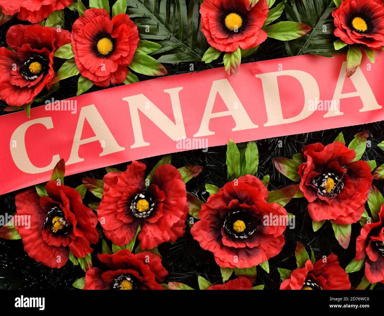 Inscription Canada on the wreath of poppies. Remembrance Day. Poppy day ...