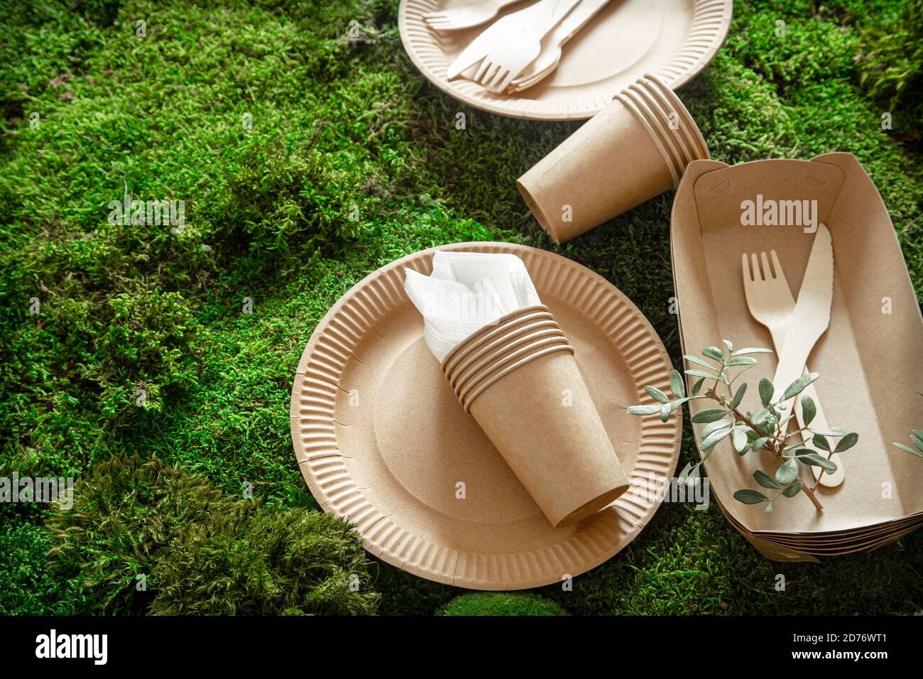 Environmentally friendly, disposable, recyclable tableware. Paper food ...