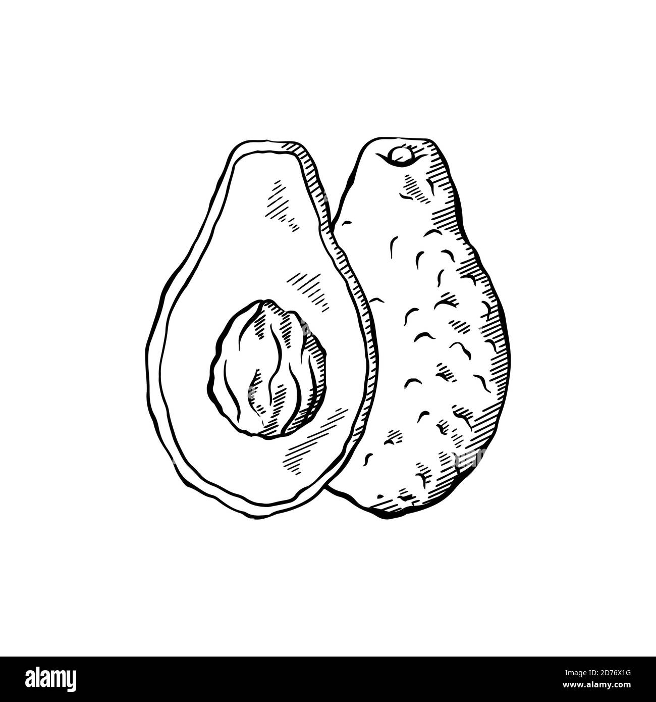 Avocado rind Stock Vector Images - Alamy