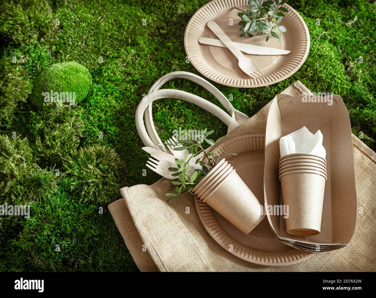 Environmentally friendly, disposable, recyclable tableware. Paper food ...