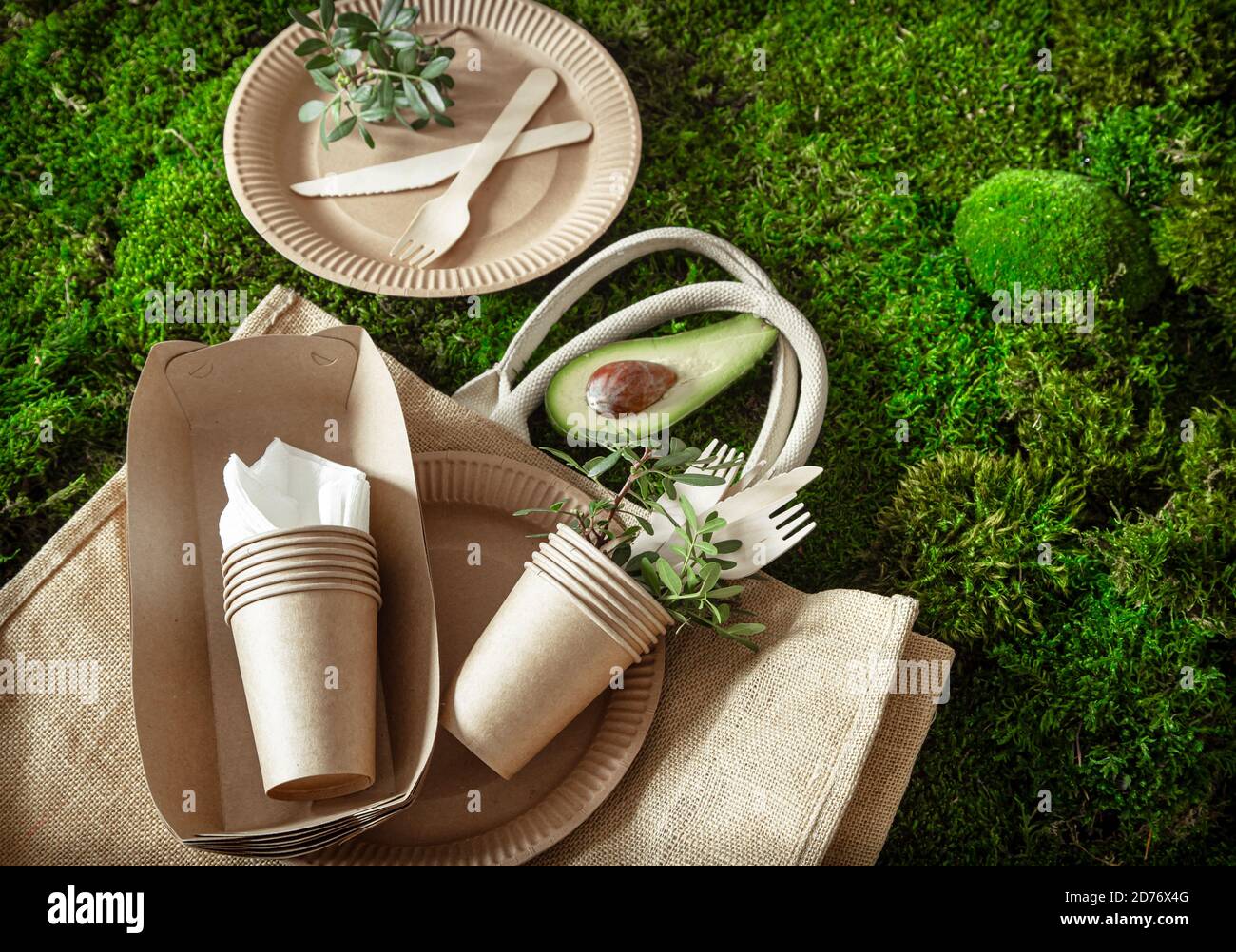 Environmentally friendly, disposable, recyclable tableware. Paper food ...