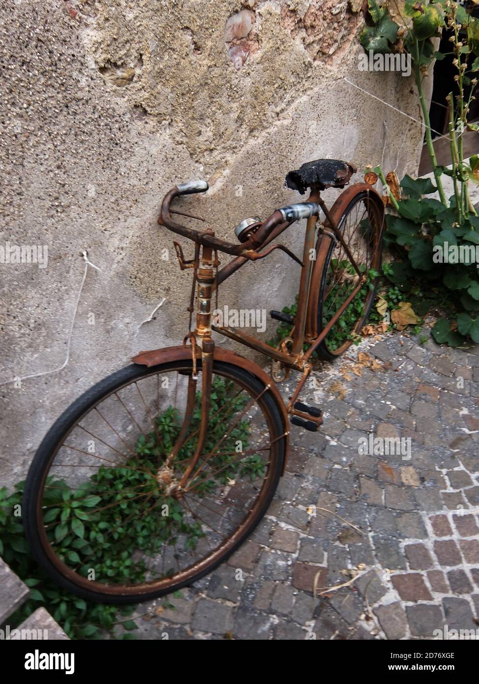 Vertical shot of an old rusty vintage bicycle near a concrete wall ...
