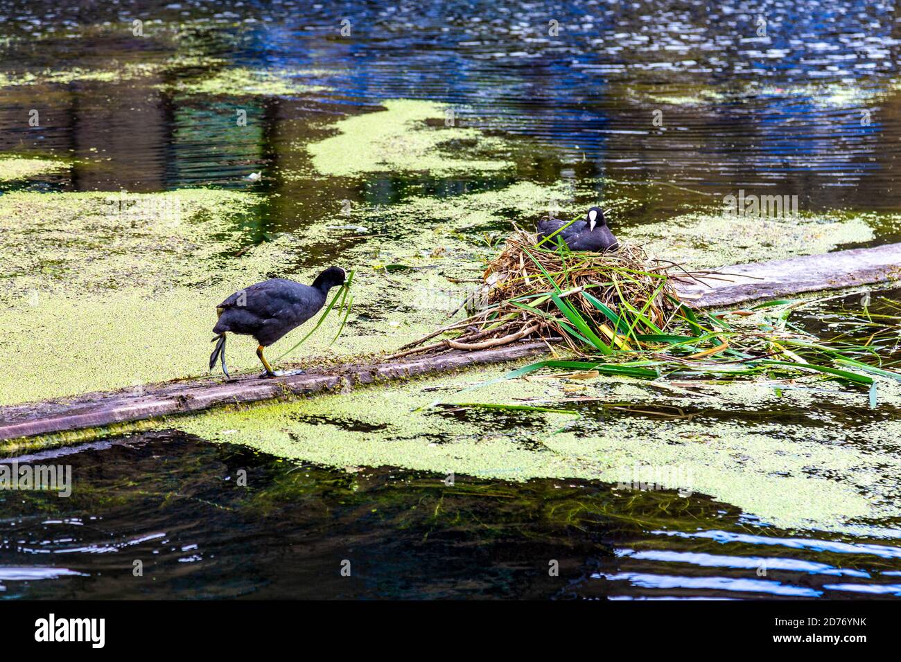 Building canal uk hi-res stock photography and images - Alamy