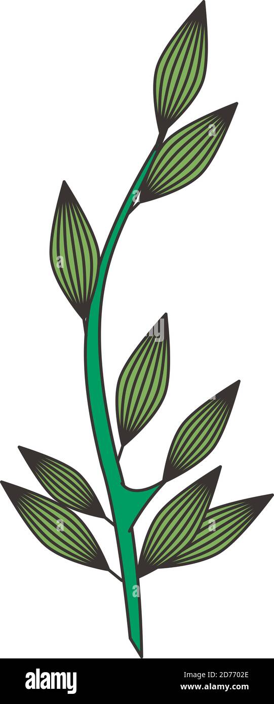 branch with leafs plant nature icon vector illustration design Stock ...