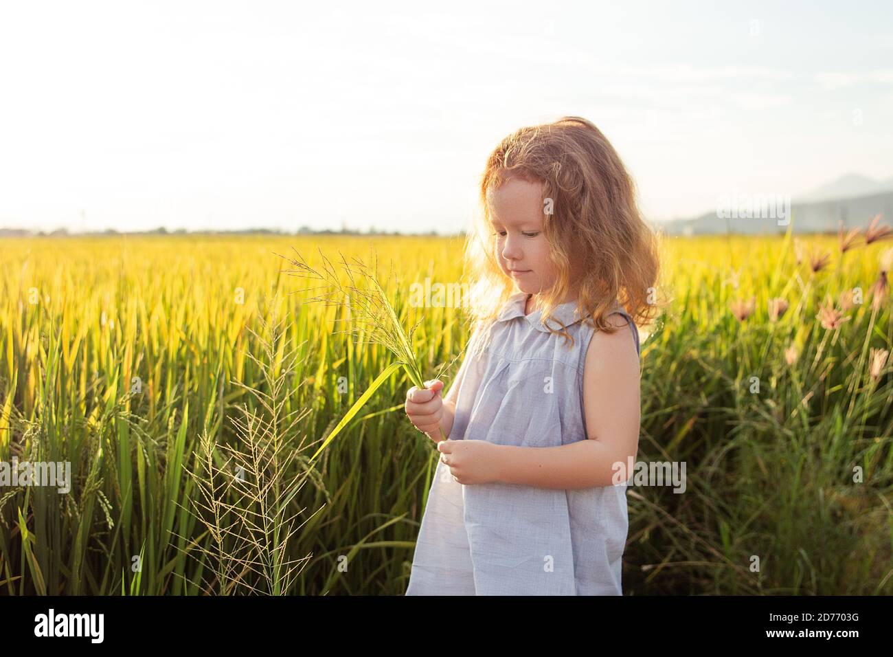 Happy little girl smile on rice field Stock Photo - Alamy