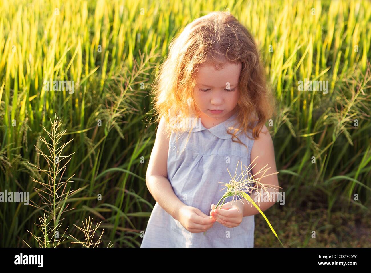 Happy little girl smile on rice field Stock Photo - Alamy