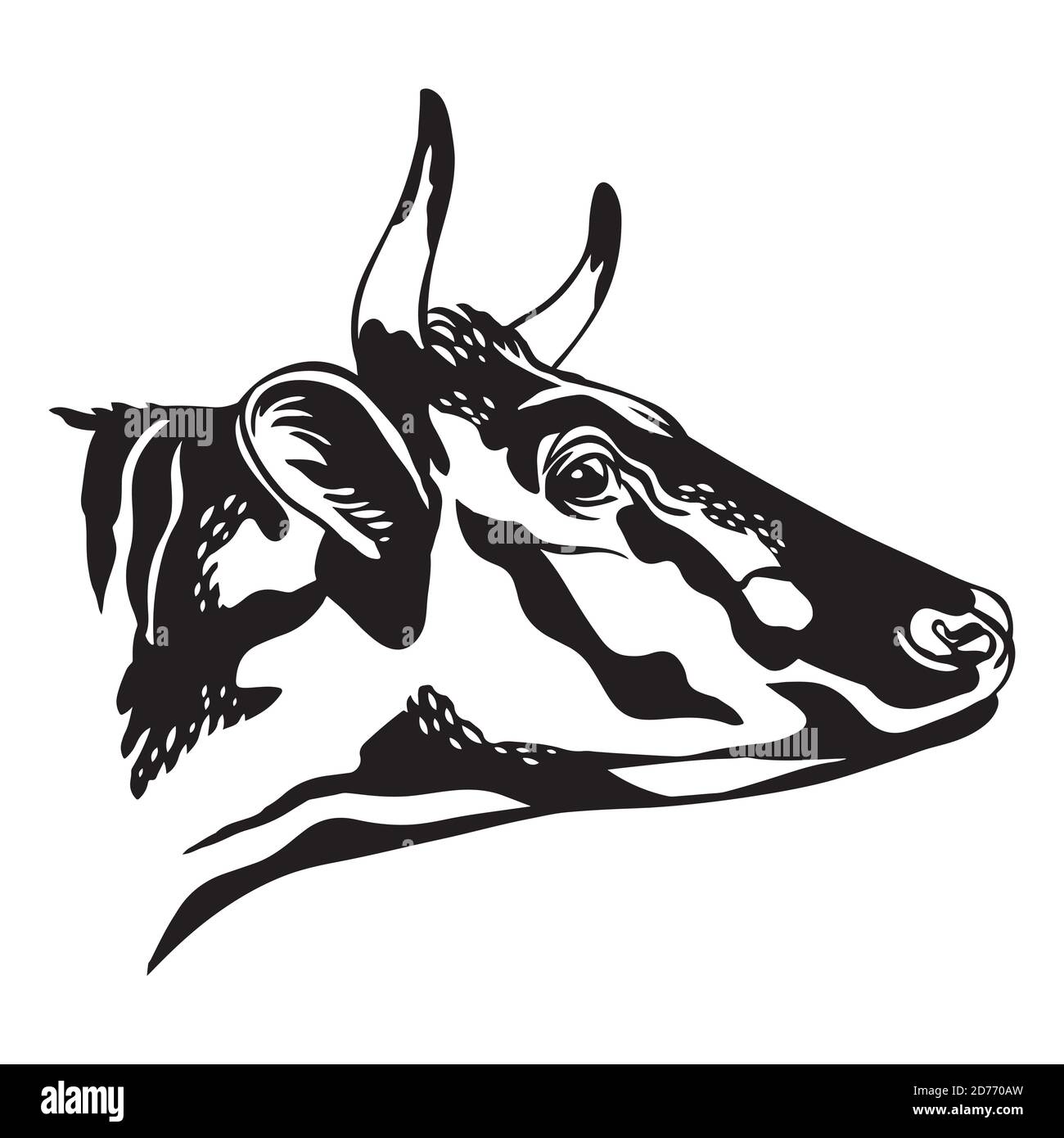 Bull head profile illustration hi-res stock photography and images - Alamy