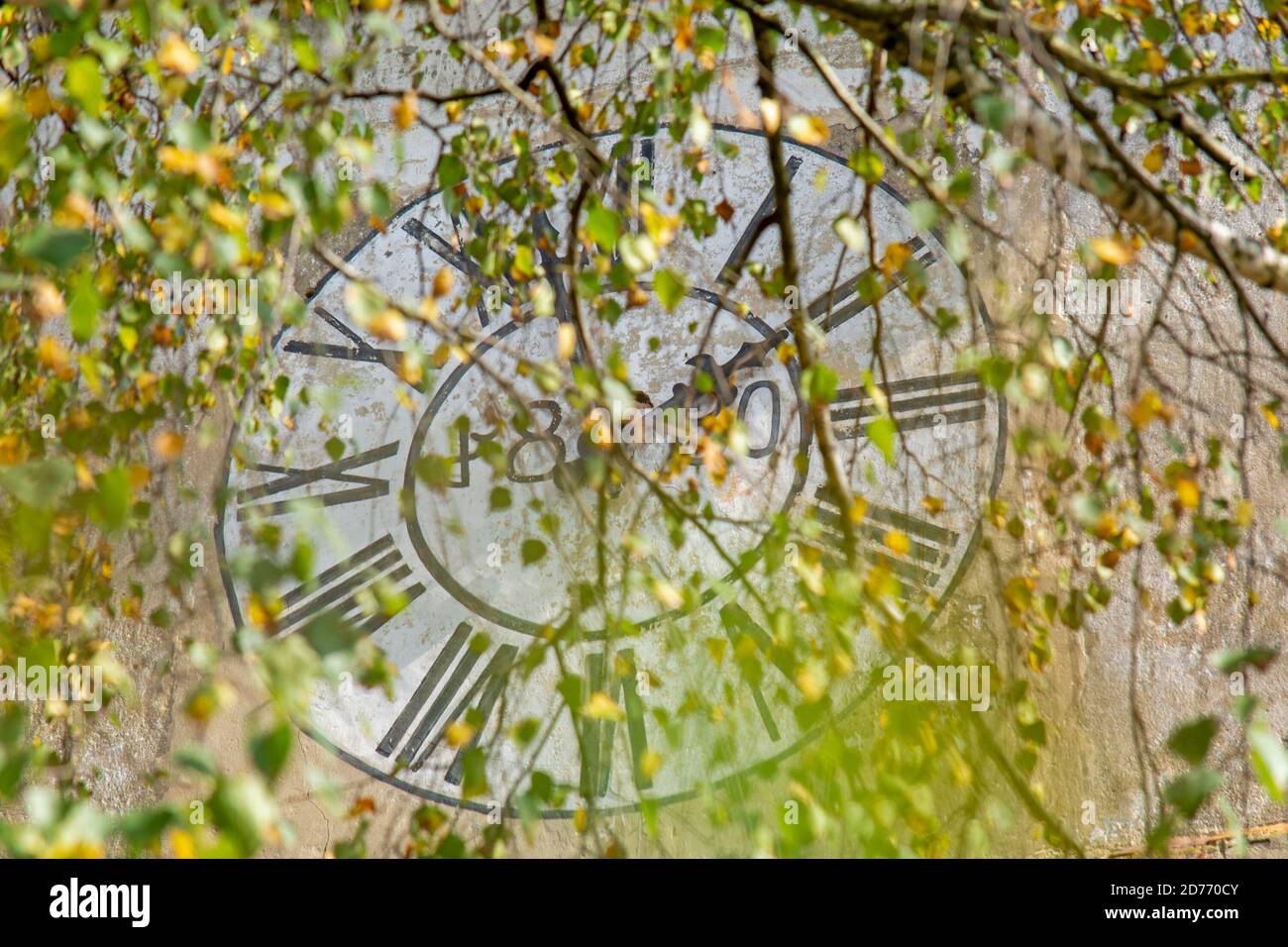 Golden tower of leaves hi-res stock photography and images - Alamy
