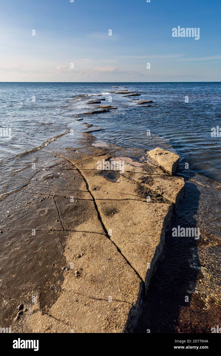 A seam of fossil rich mudstone and shale extending into the sea at ...