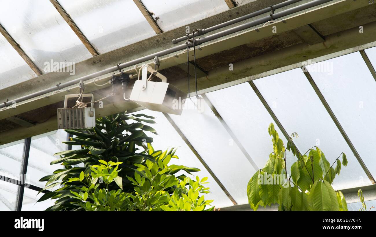 Irrigation water system automated greenhouse in Kew Royal Botanic ...