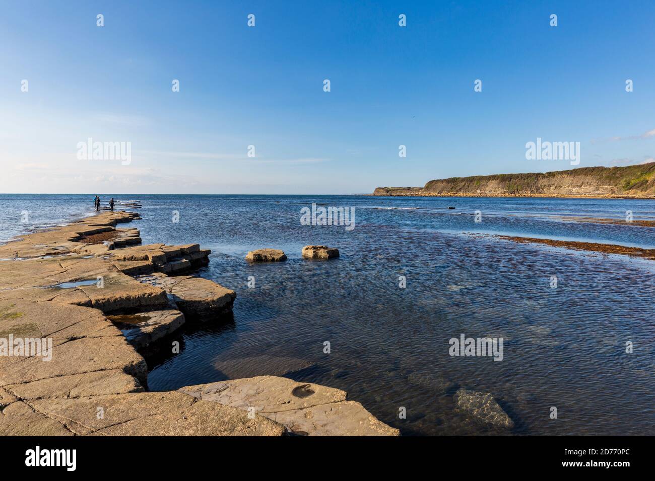 A seam of fossil rich mudstone and shale extending into the sea at ...
