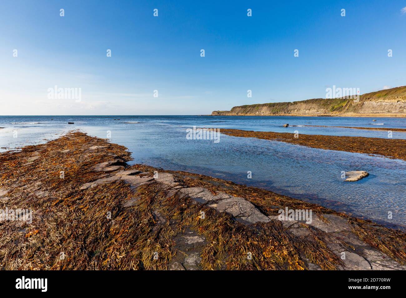 A seam of fossil rich mudstone and shale extending into the sea at ...